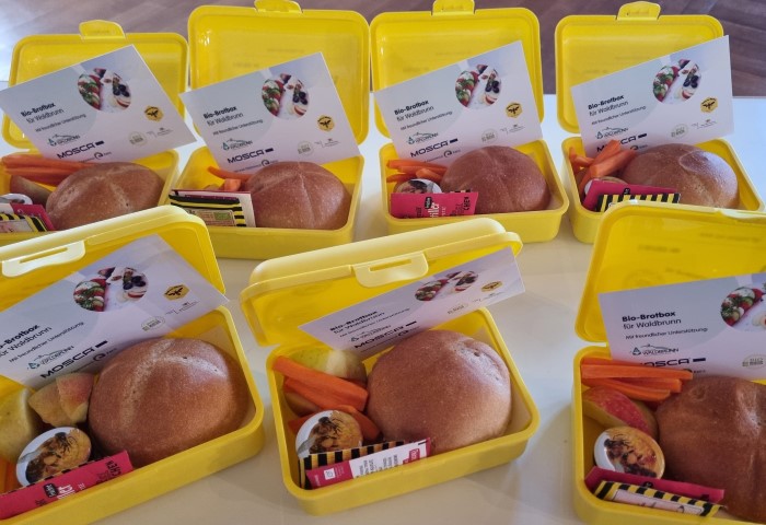 Bio-Brotbox Waldbrunn - Biomusterregionen BW