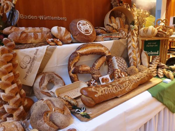 Landesempfang Berlin IGW - Biomusterregionen BW